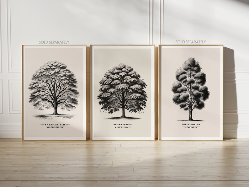 West Virginia State Tree Sugar Maple Vintage Sketch Tree Poster Tree ...