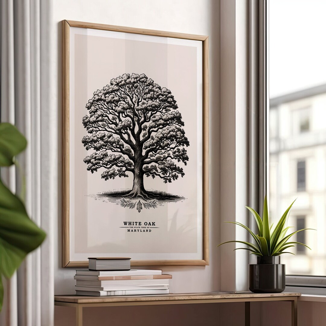Maryland State Tree - White Oak, Vintage Sketch, Tree Poster, Antique ...