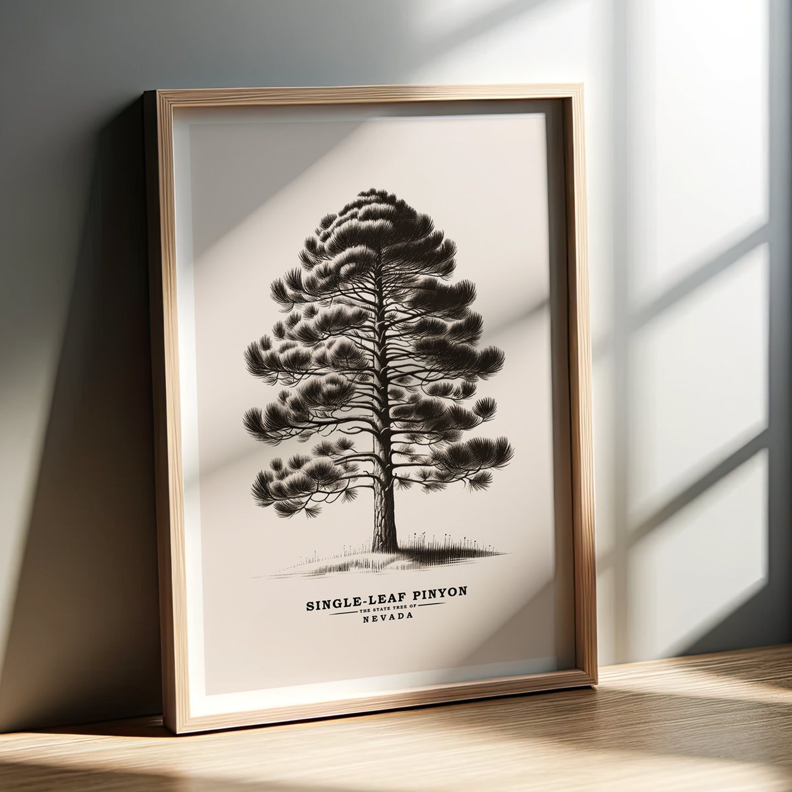 Nevada State Tree | Single-leaf Pinyon | Vintage Sketch | Tree Poster ...