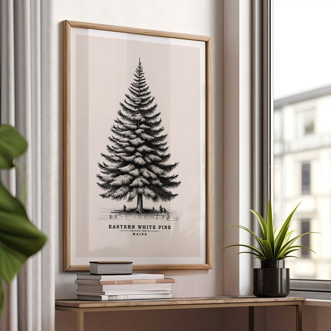 Maine State Tree | Eastern White Pine | Vintage Sketch | Tree Poster ...