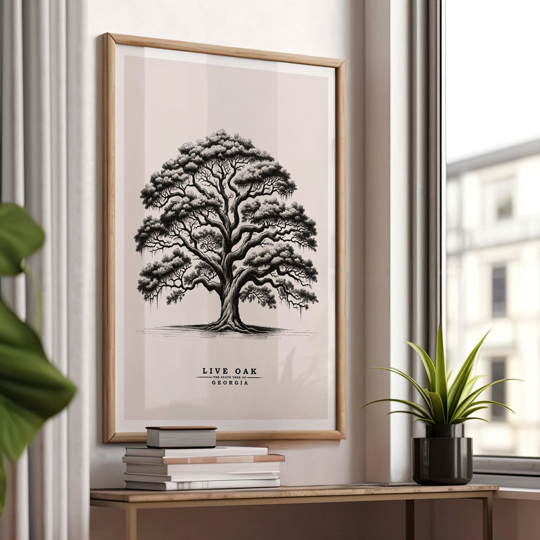 Georgia Live Oak, State Tree, Vintage Sketch, Tree Poster, Antique Tree ...
