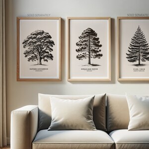 Nevada State Tree | Single-leaf Pinyon | Vintage Sketch | Tree Poster ...