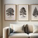 Nevada State Tree | Single-leaf Pinyon | Vintage Sketch | Tree Poster ...