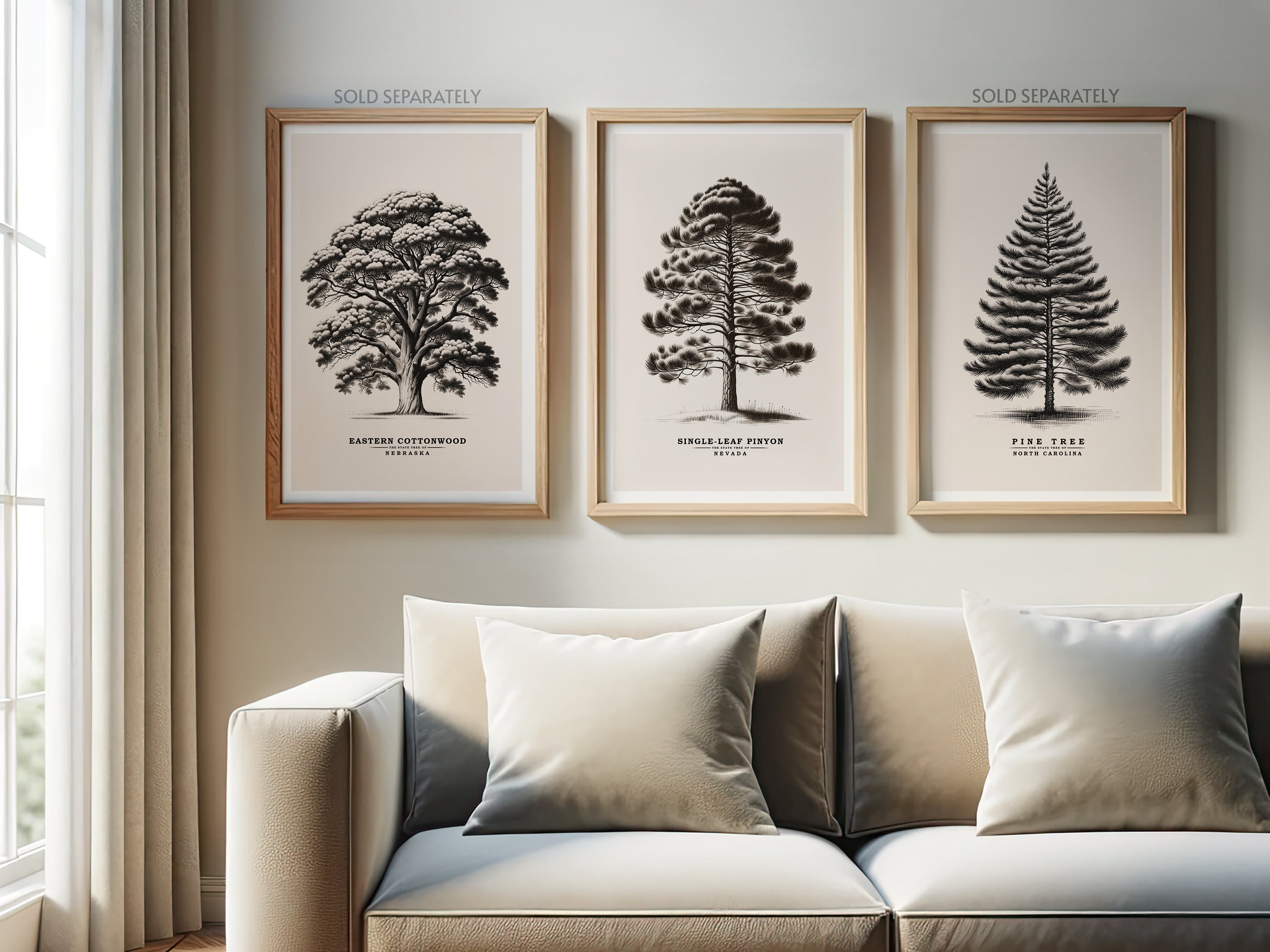 Nevada State Tree | Single-leaf Pinyon | Vintage Sketch | Tree Poster ...