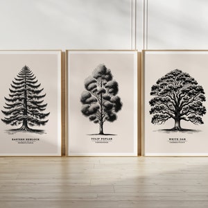 50 State Trees Vintage Sketch Bundle, Forest Print, Antique Tree ...