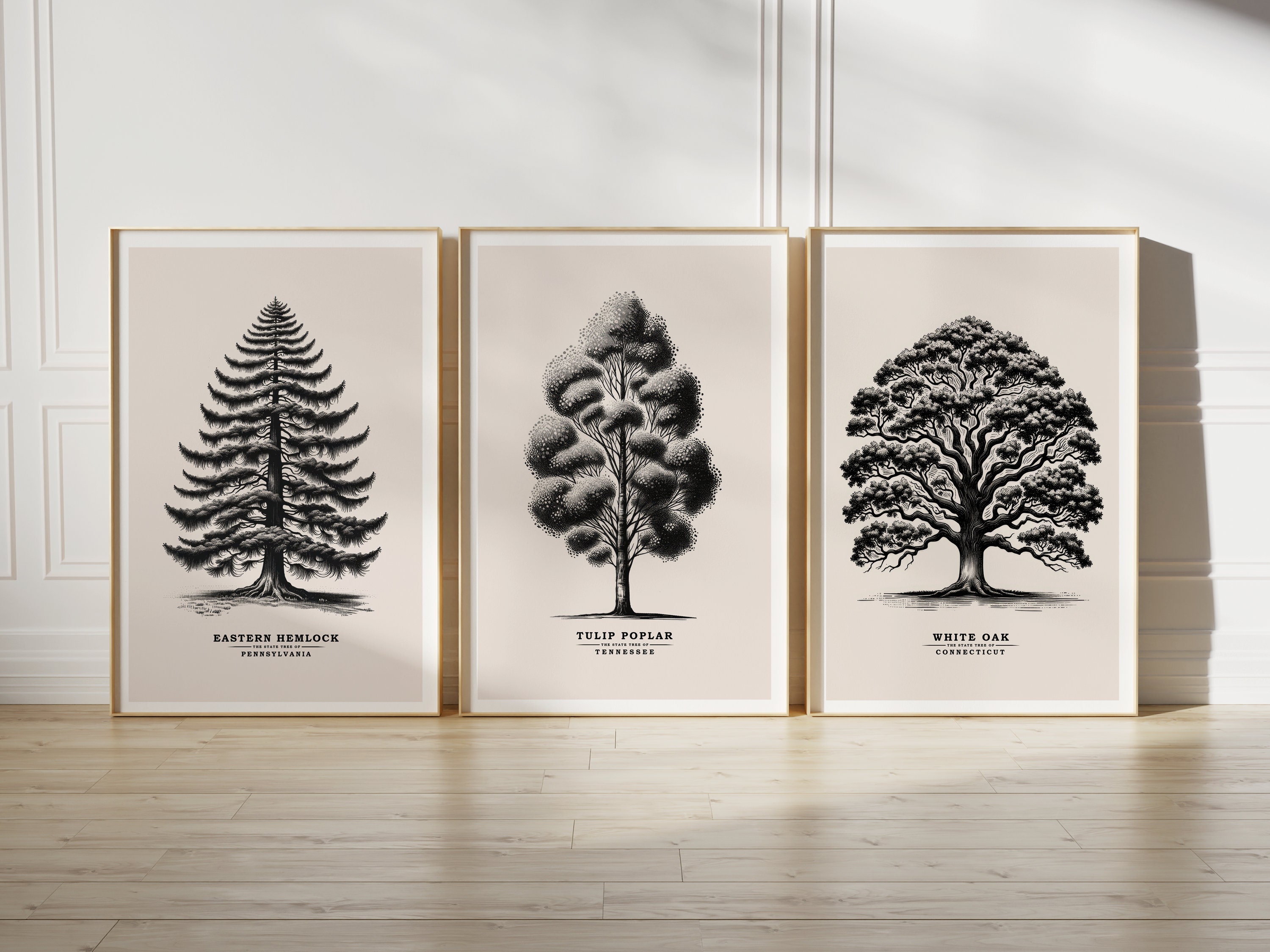50 State Trees Vintage Sketch Bundle, Forest Print, Antique Tree ...