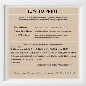 Connecticut State Animal | Vintage Prints | Sperm Whale | Print at Home ...