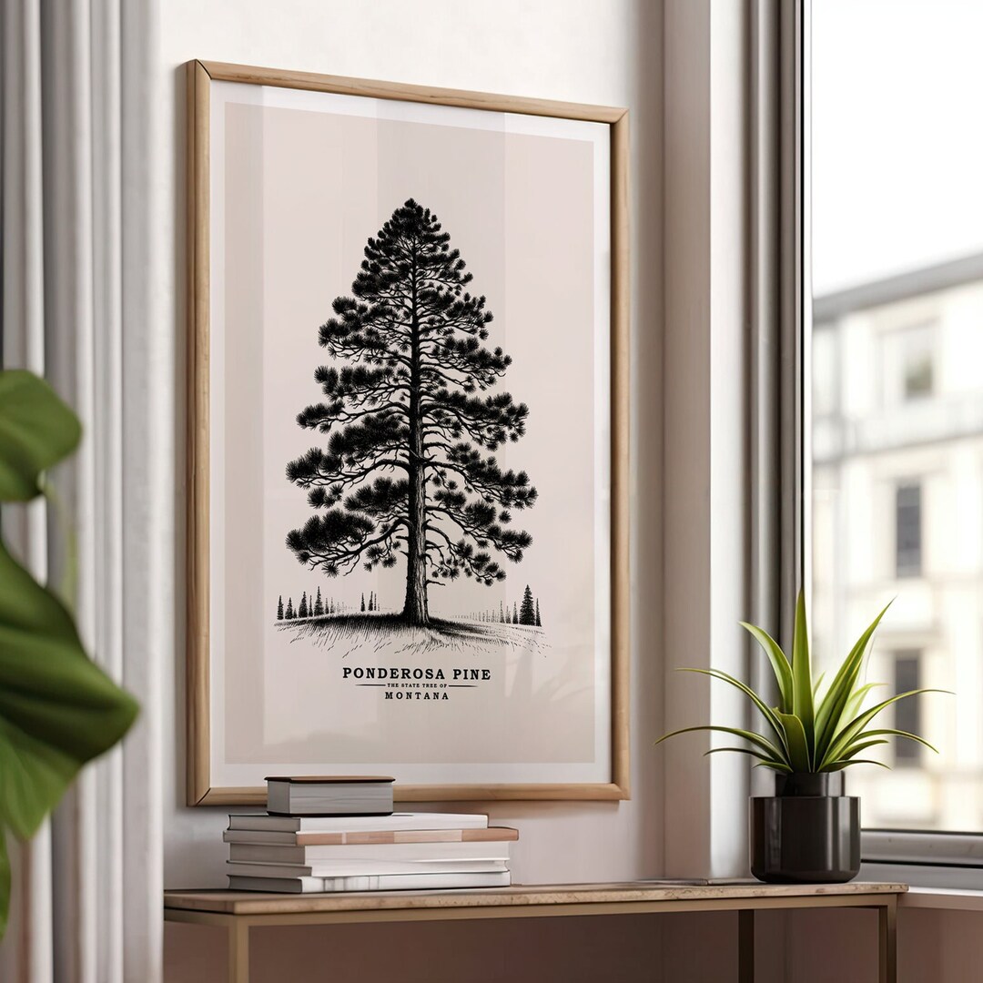 Montana State Tree | Ponderosa Pine | Vintage Sketch | Tree Poster ...