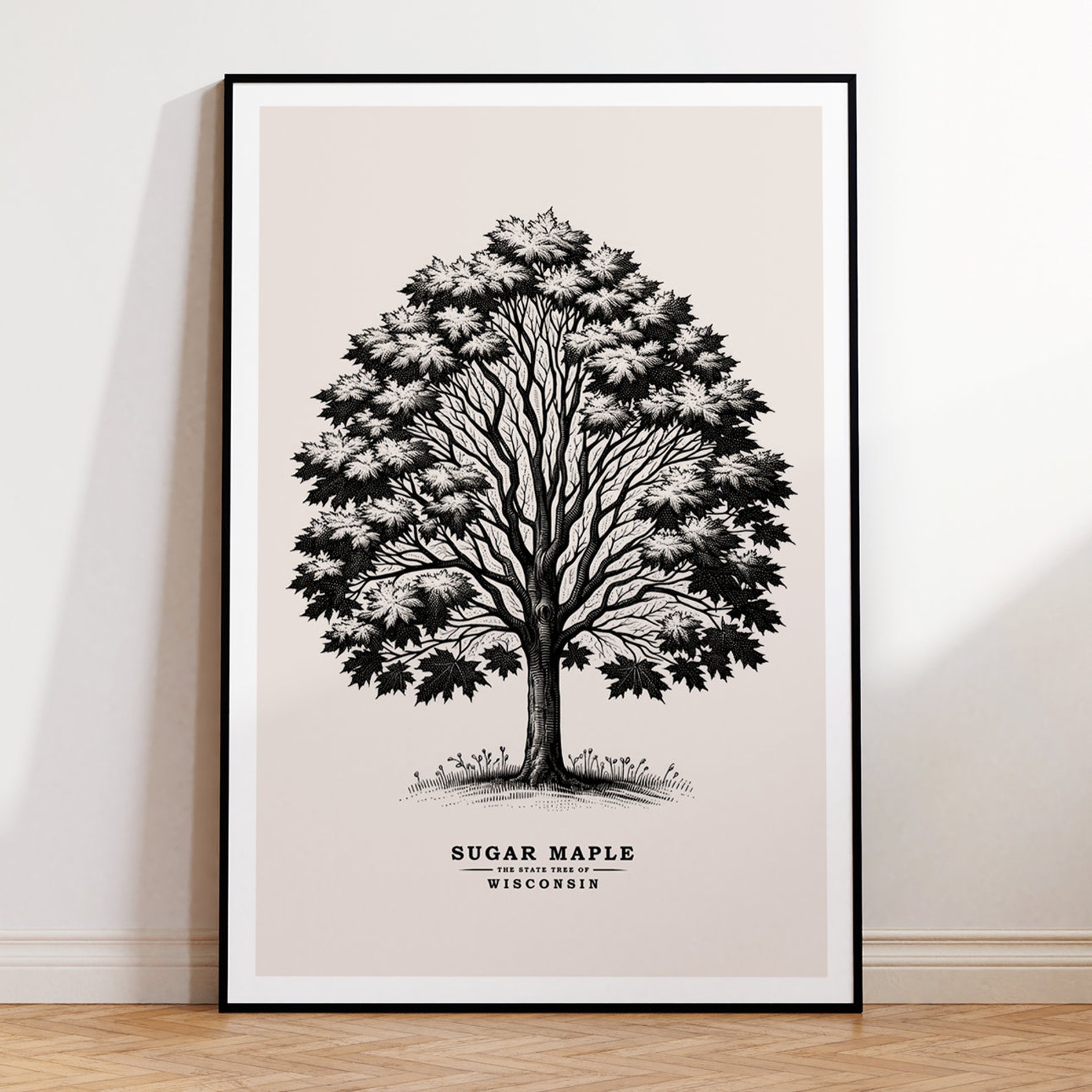 Wisconsin State Tree - Sugar Maple, Vintage Sketch, Tree Poster ...