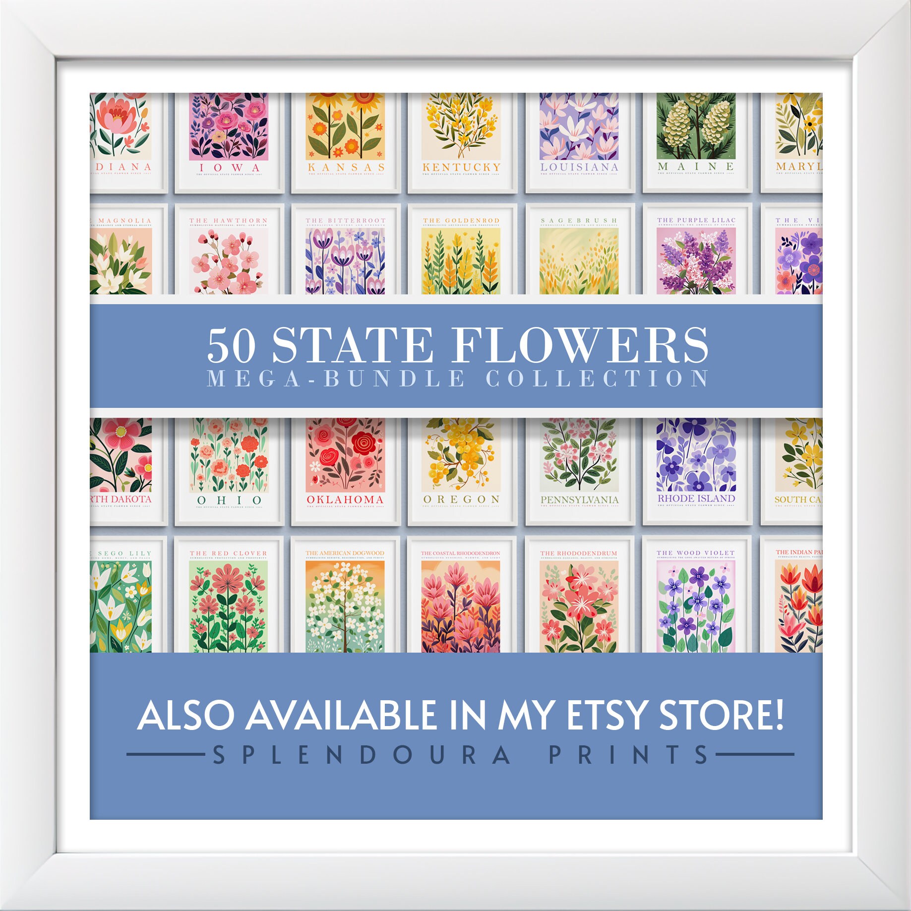 State Flower Gallery Wall Set, Midwest States, Flower Prints, Trendy ...