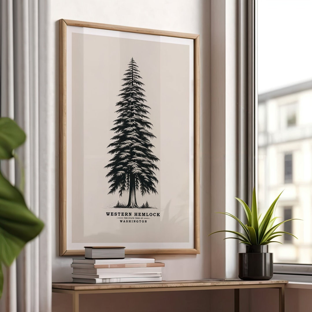 Washington Western Hemlock, State Tree, Vintage Sketch, Tree Poster ...