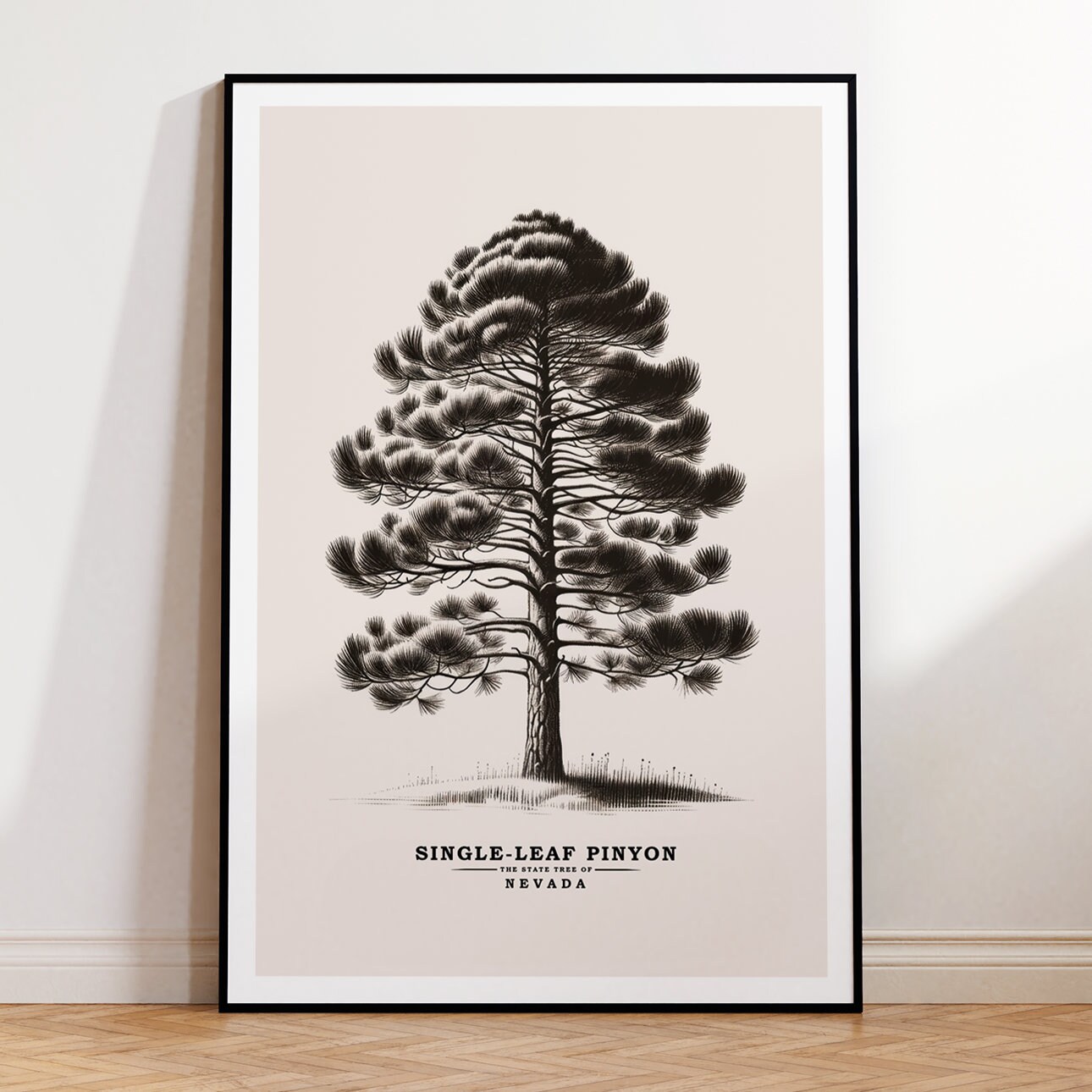 Nevada State Tree | Single-leaf Pinyon | Vintage Sketch | Tree Poster ...
