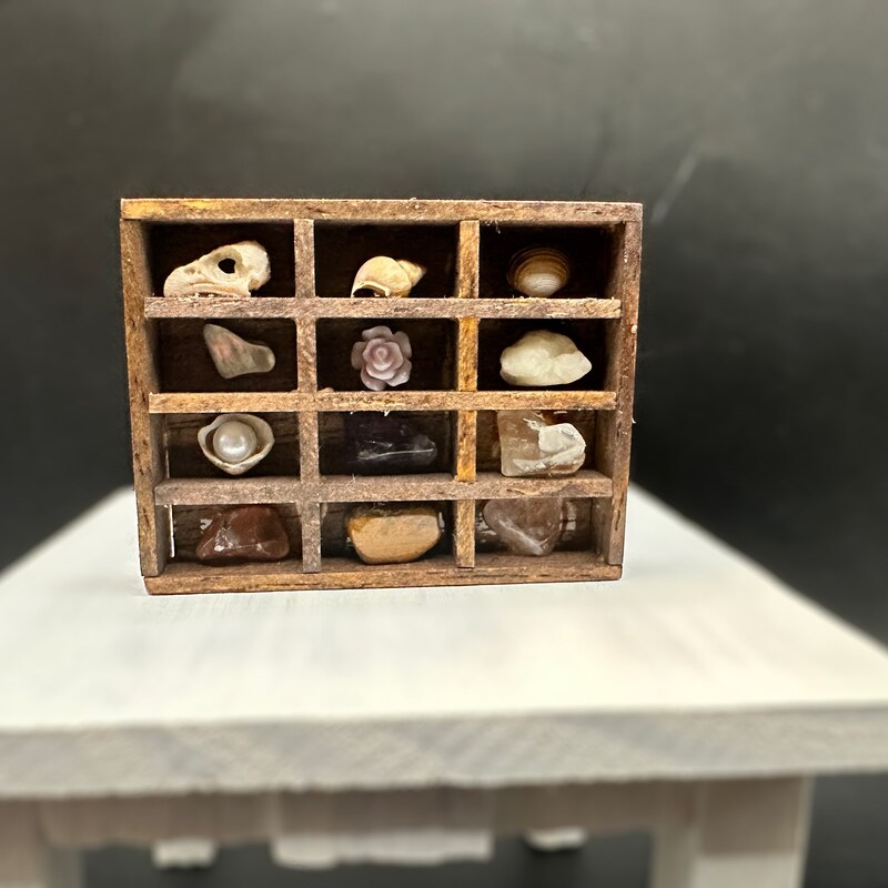 Nature Specimen - Etsy