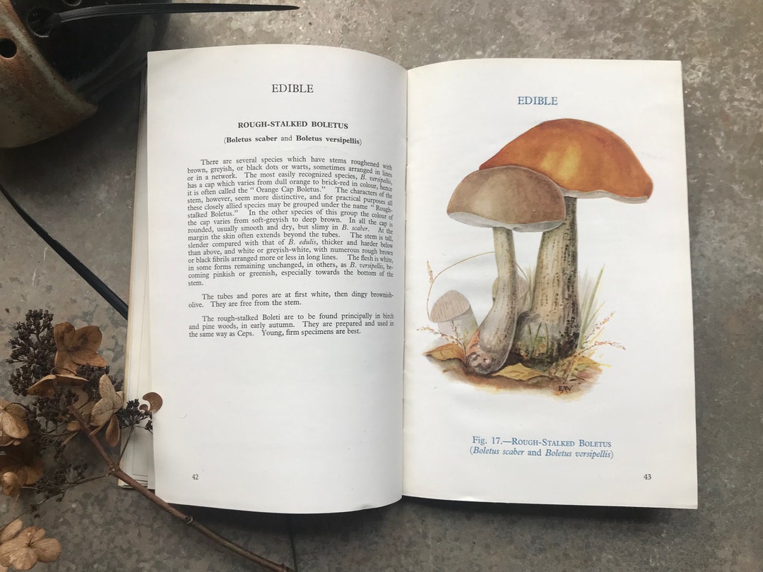 Edible & Poisonous Fungi Book Vintage 1947 Mushroom Book With - Etsy