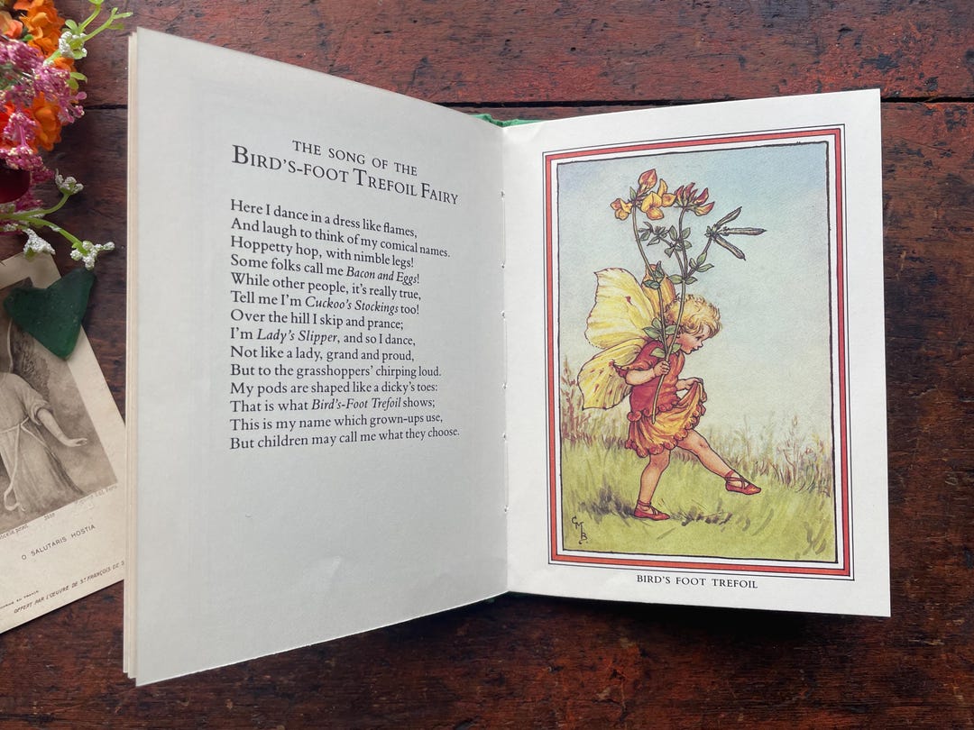 Flower Fairies of the Summer, Cicely Mary Barker, Childs Poetry ...