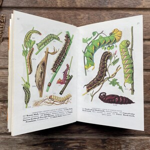 A Guide to Field and Meadow Life, Pocket Nature Book, 621 Colour ...