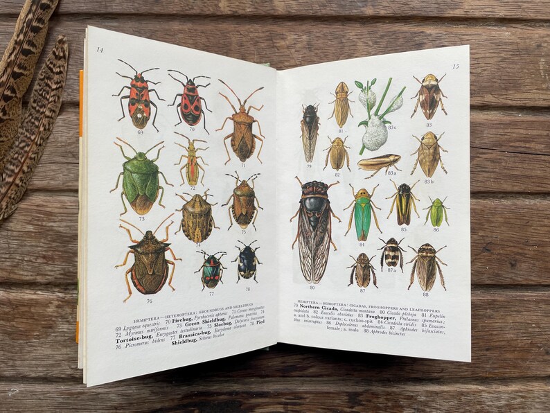 A Guide to Field and Meadow Life, Pocket Nature Book, 621 Colour ...