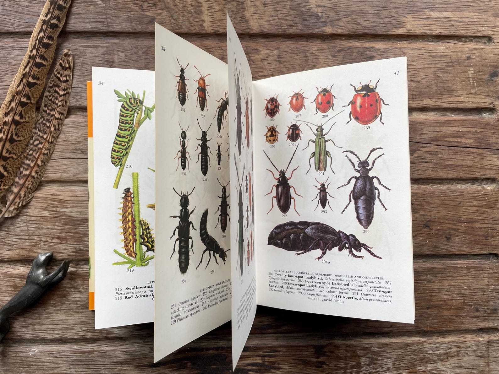 A Guide to Field and Meadow Life, Pocket Nature Book, 621 Colour ...