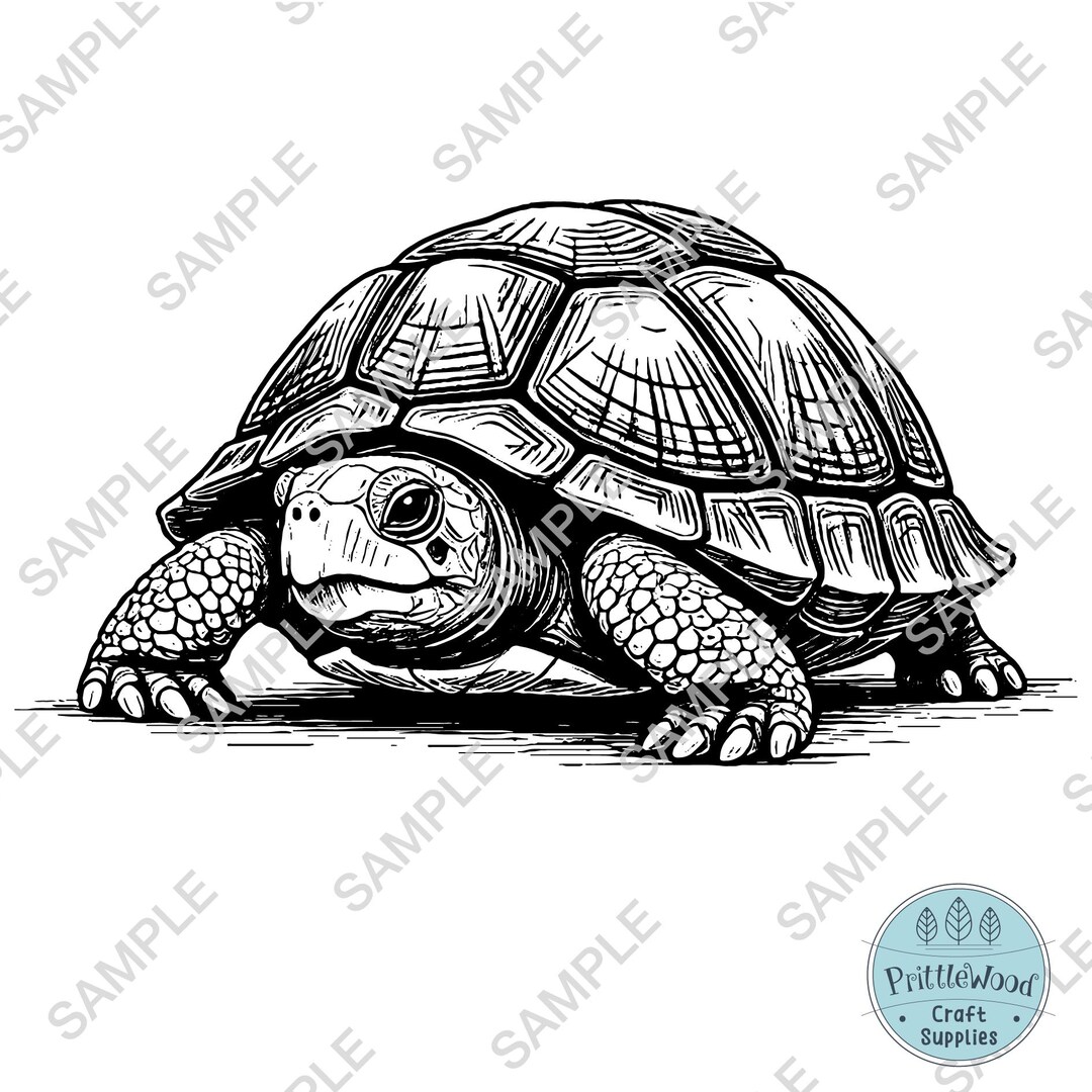 Tortoise Png, Tortoise Svg, Glowforge Svg, Lightburn File, Laser ...