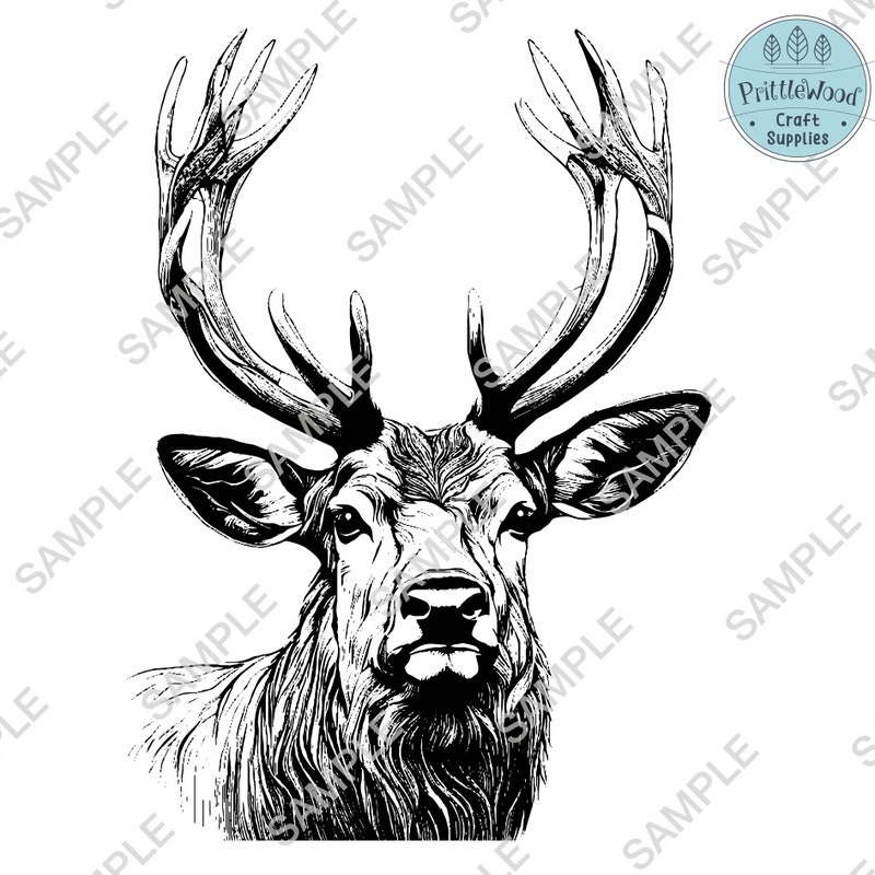 Stag Drawing - Etsy UK