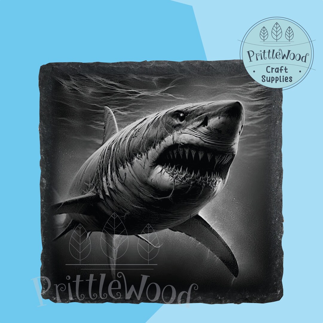 Shark Laser Engrave PNG File, Coaster Design (digital Download) - Etsy