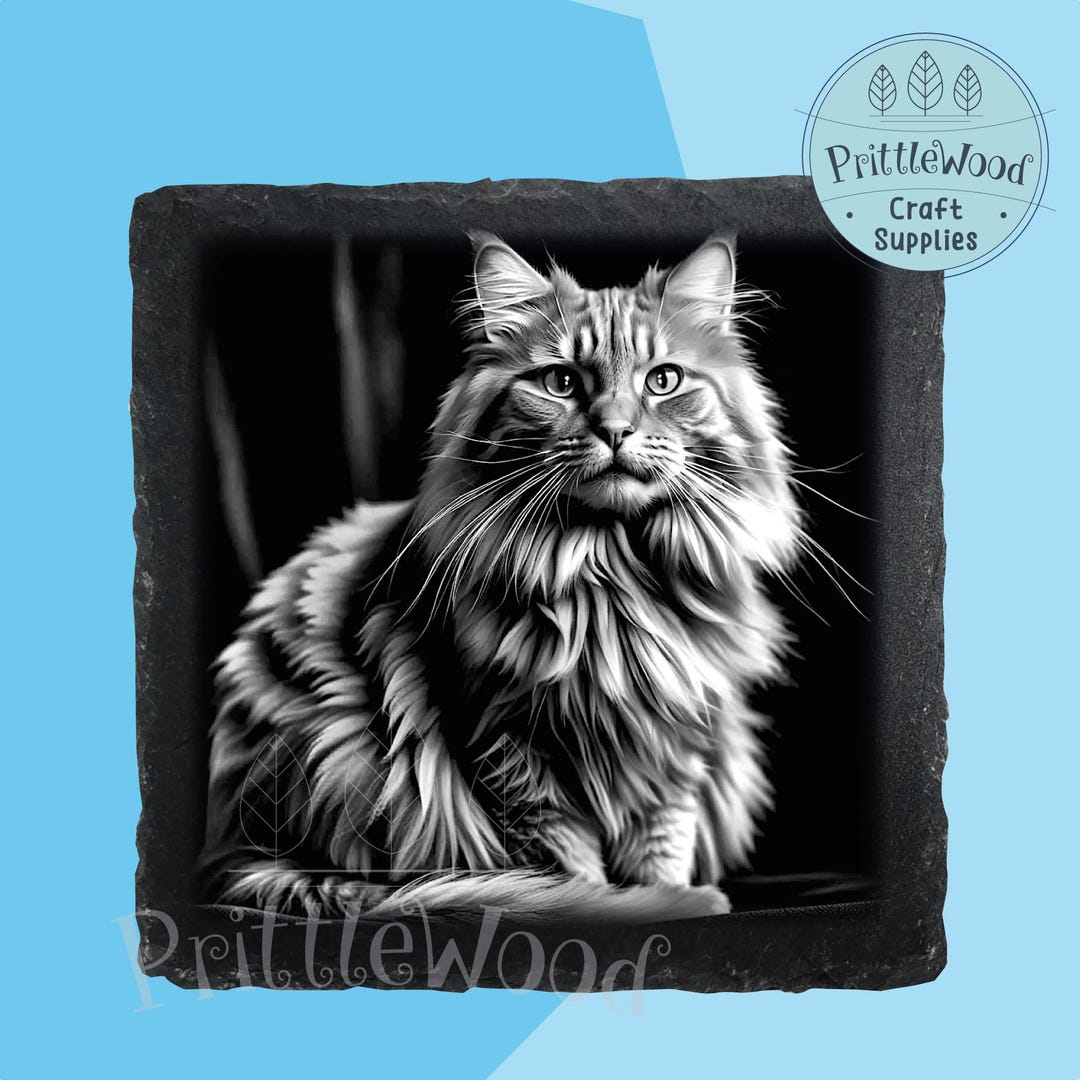 Cat Laser Png File, Laser File, Lightburn, Xtool, Glowforge, Co2, Cat ...