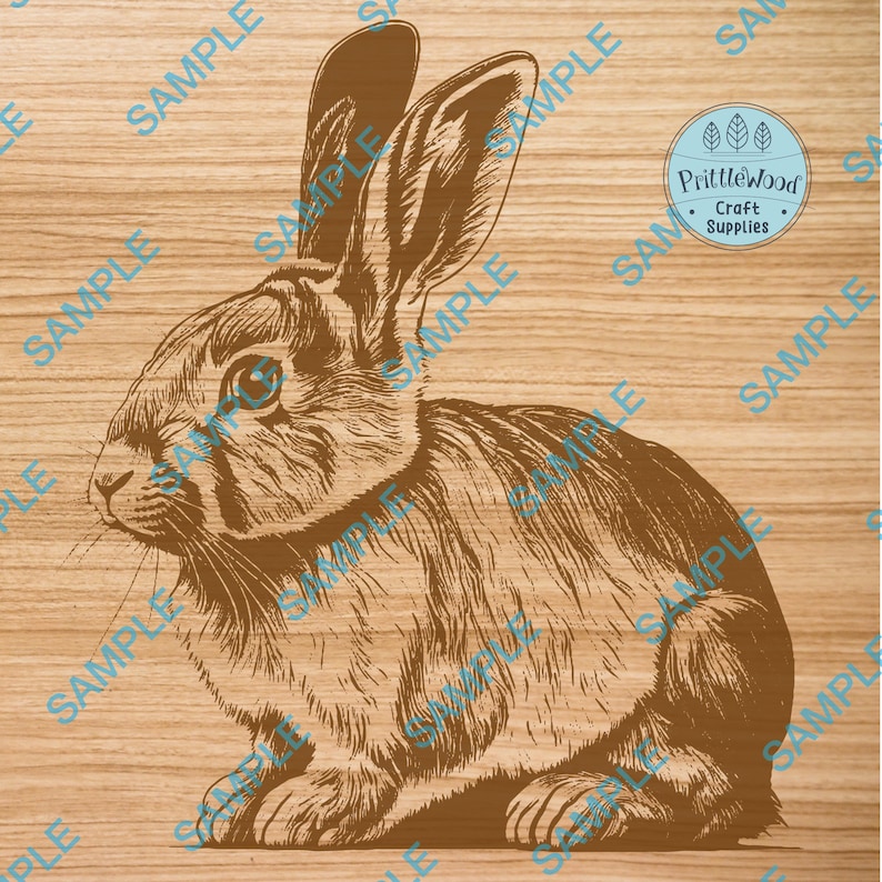Rabbit Png, Rabbit Svg, Glowforge Svg, Lightburn File, Laser Engrave ...