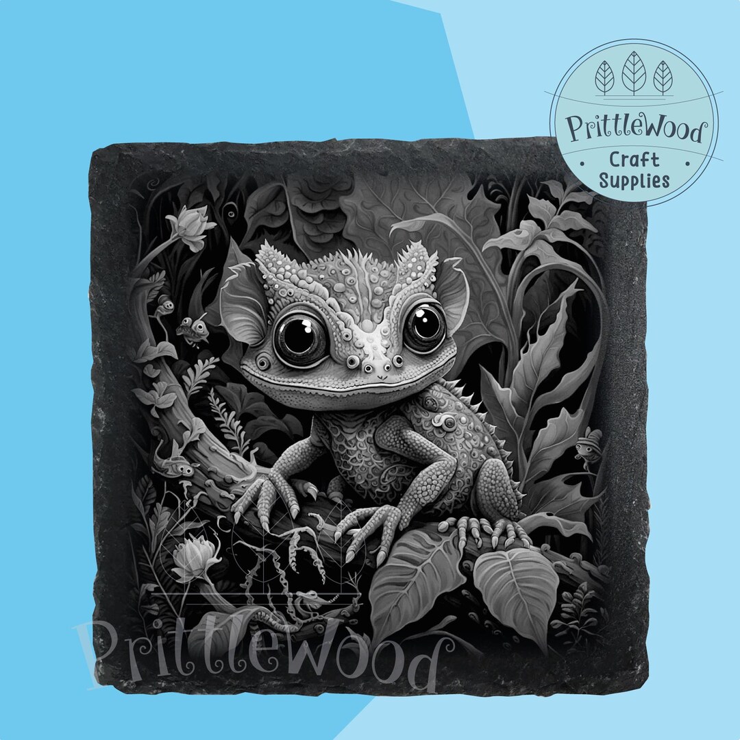 Lizard Png, Laser Engrave, Laser PNG, Lightburn, Xtool, Glowforge, Co2 ...