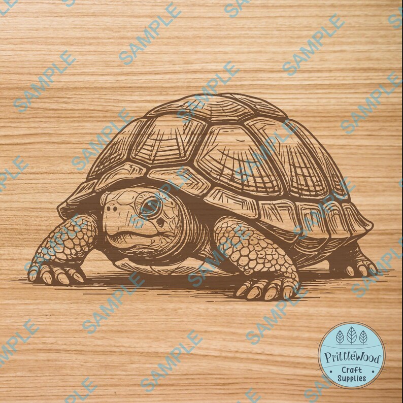 Tortoise Png, Tortoise Svg, Glowforge Svg, Lightburn File, Laser ...