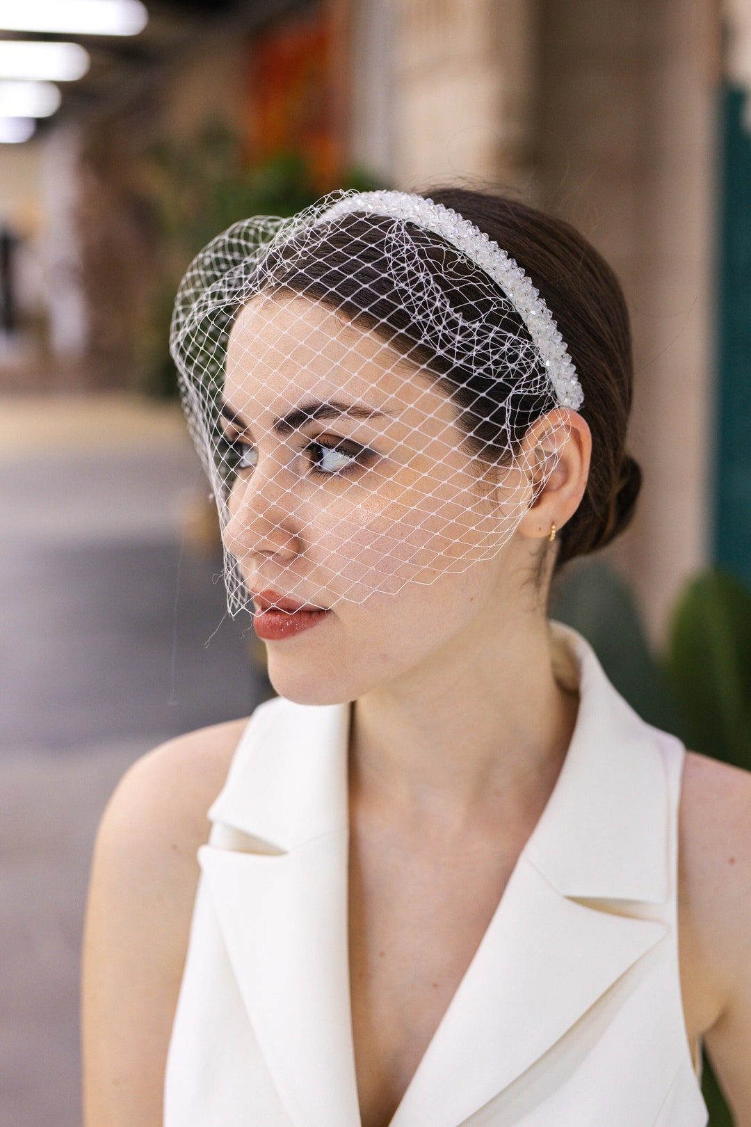 Headband Bird Cage Veil for Bride,crystal Stone Embroidered Wedding ...