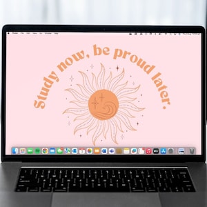 Pink 'study Now, Be Proud Later' Aesthetic Groovy Desktop Wallpaper ...