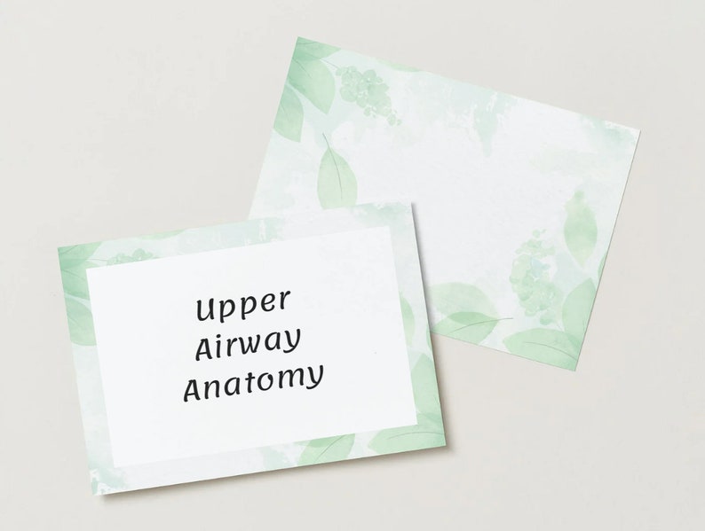 Upper Airway Anatomy - Essential Notes and Flash Cards + Bonus Notes on ...