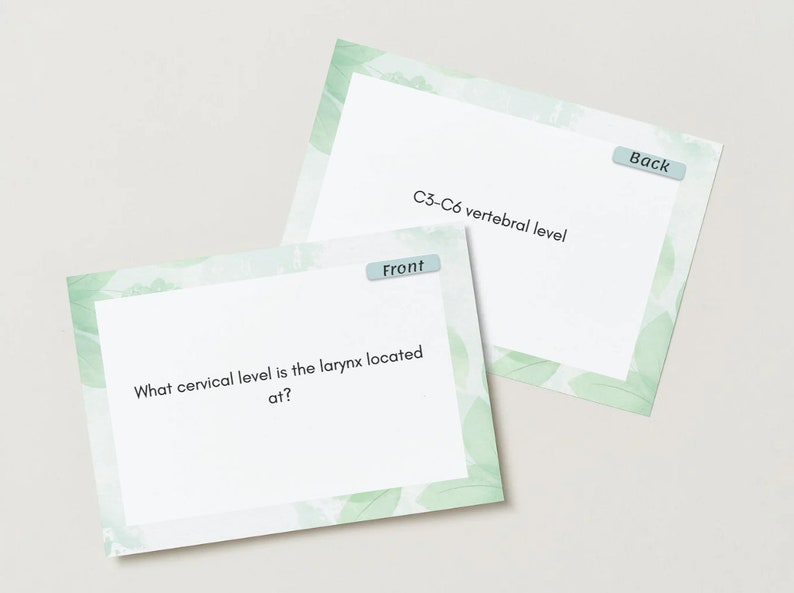 Upper Airway Anatomy - Essential Notes and Flash Cards + Bonus Notes on ...