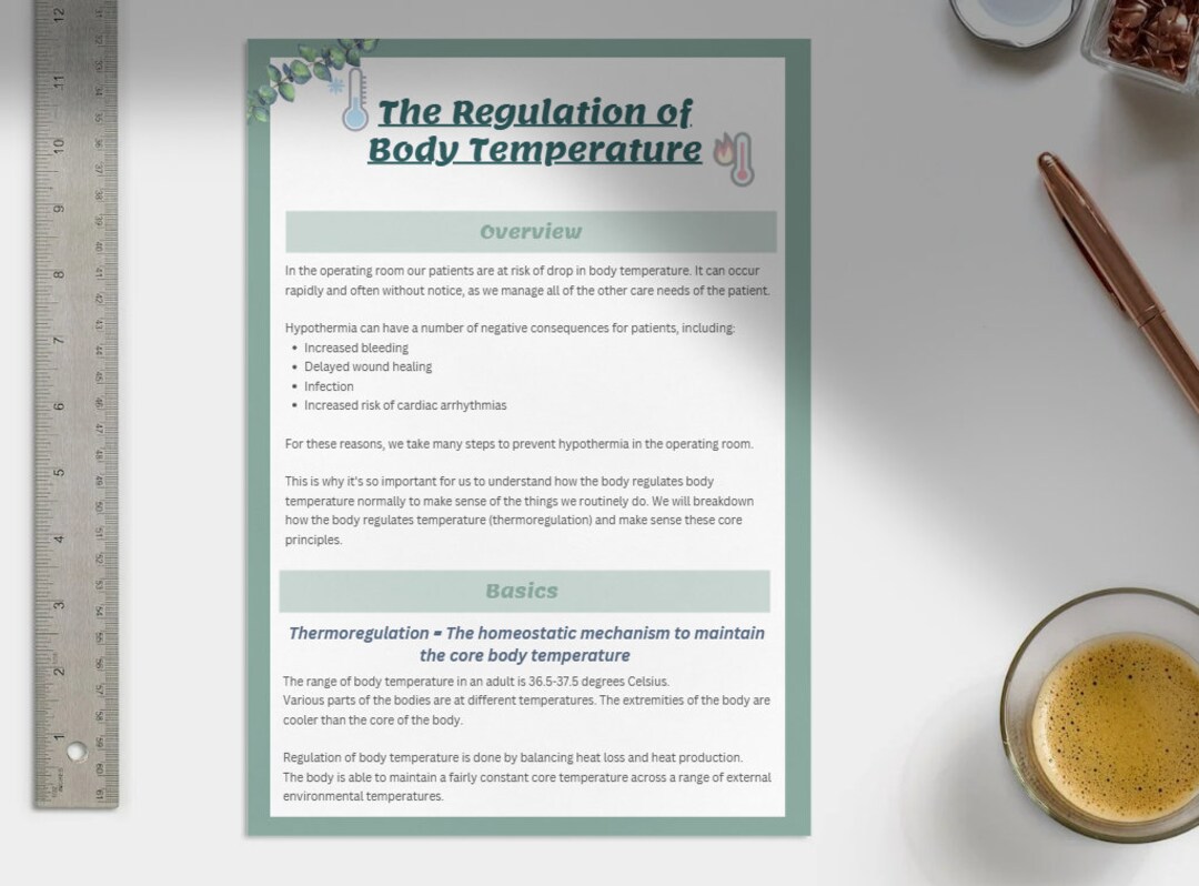Thermoregulation Essential Notes and Flash Cards - Etsy