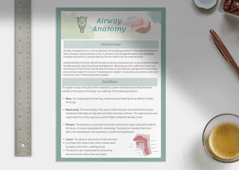 Upper Airway Anatomy - Essential Notes and Flash Cards + Bonus Notes on ...