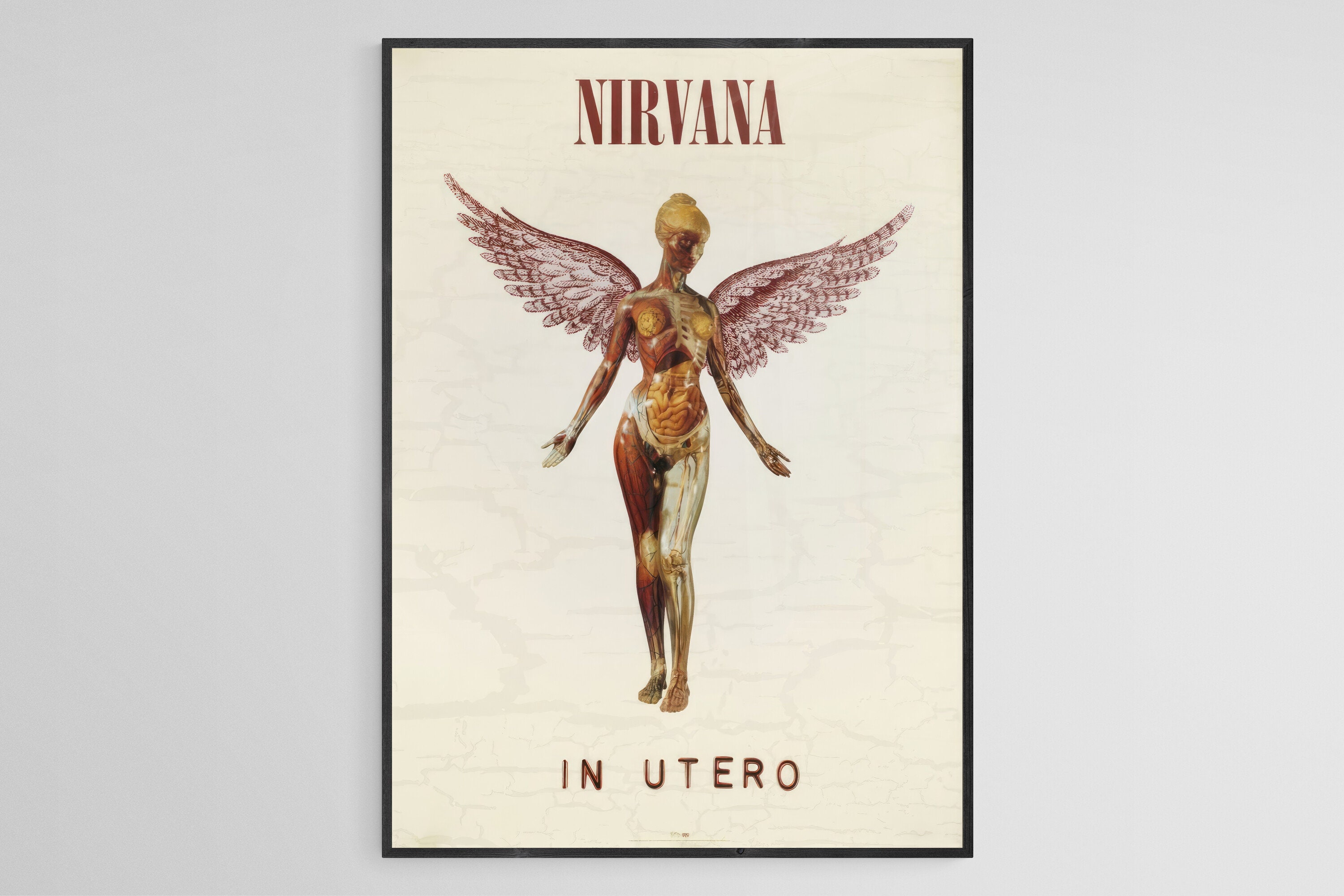 Nirvana Album Cover In Utero