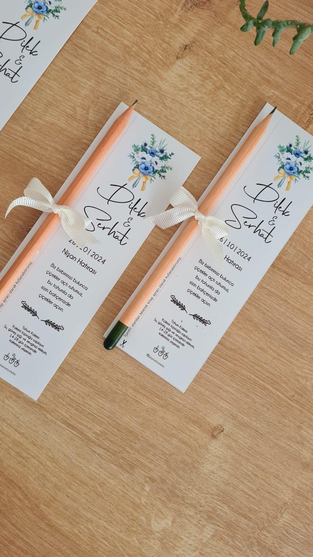Seed Pen, New Born Baby Favors, Baby Shower Gift, Flower Pencil ...