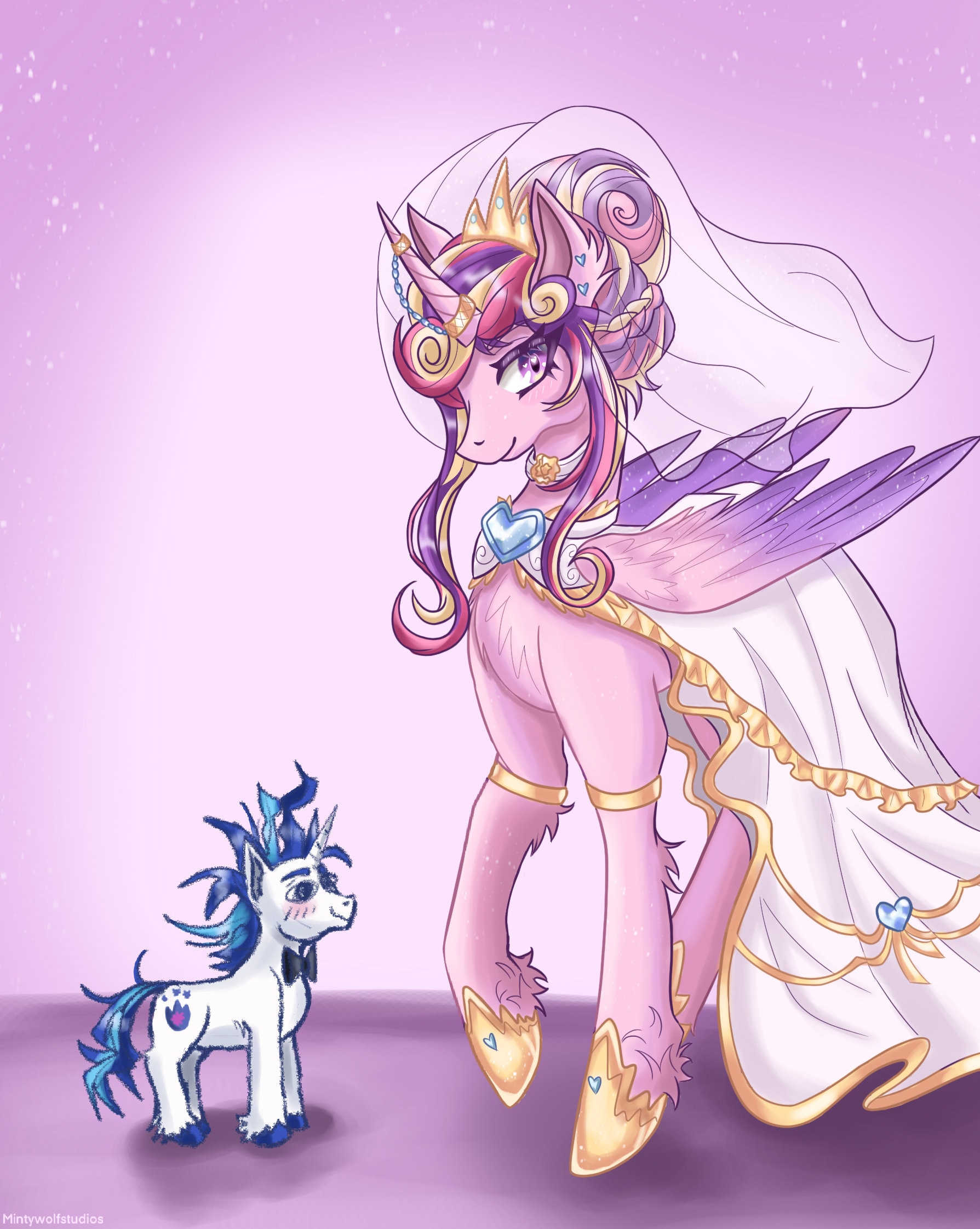 Princess Cadence and Shining Armour the Bride and Ugly Groom Print - Etsy