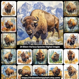 24 Bison Wall Art Digital Prints, Buffalo Artwork Set, Western Theme ...