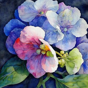 12 Hydrangea Watercolor Abstract Floral Digital Images Set of 12, Large ...