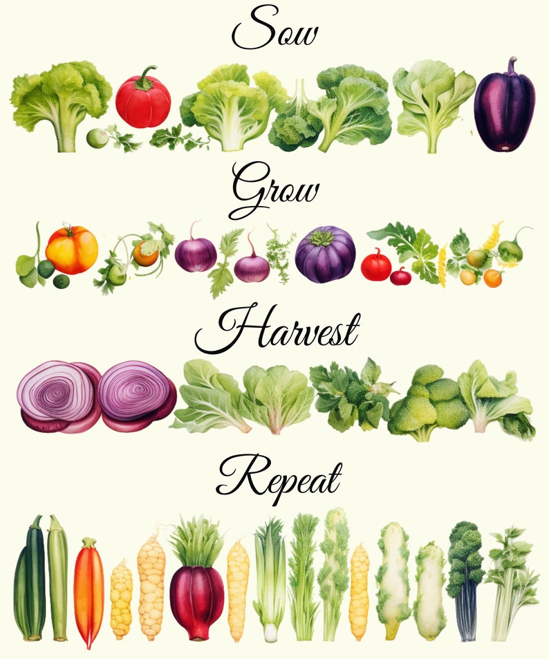 FIVE Garden Gardening Images Posters Vegetables Wall Decor Instant ...