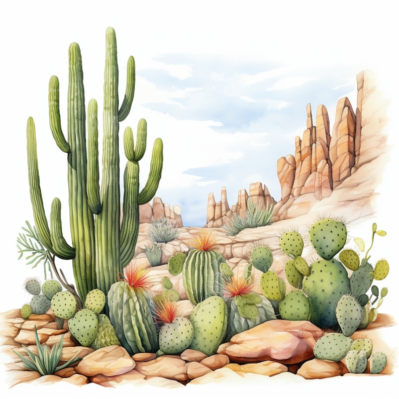 EIGHTEEN Colorful Cactus Digital Print, Southwestern Decor Wall Art ...