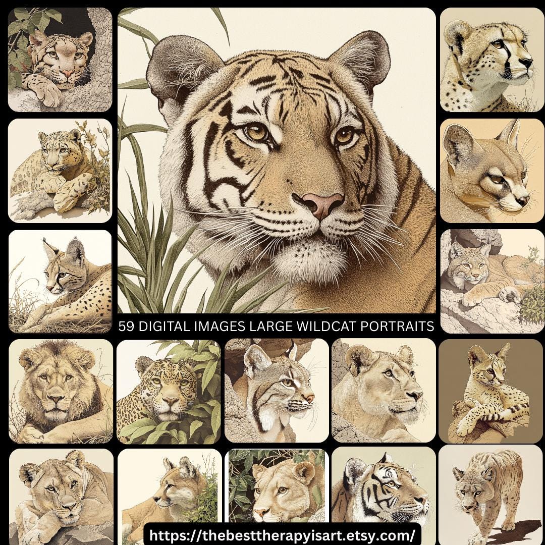 59 Wild Big Cats Bundle, Lion Tiger Leopard Jaguar Snow Leopard Pngs ...