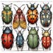 24 DIY Wall Art Insect Digital Images, Colorful Beetle and Bug Artwork ...