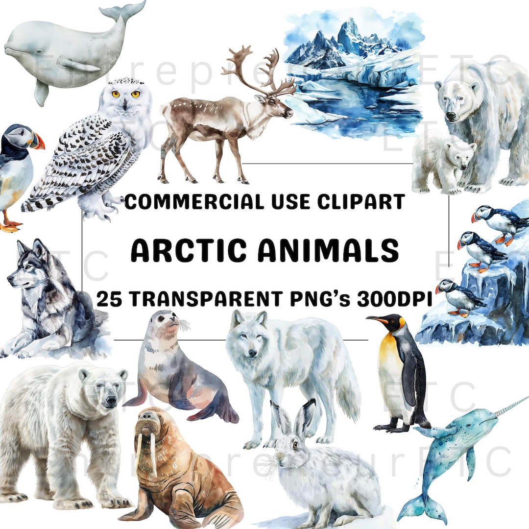 Arctic Animals Watercolor Clip Art, Polar Bears, Penguins, Puffins ...