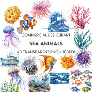 Sea Animals Clipart, 40 PNG Watercolor Ocean Creatures Images ...