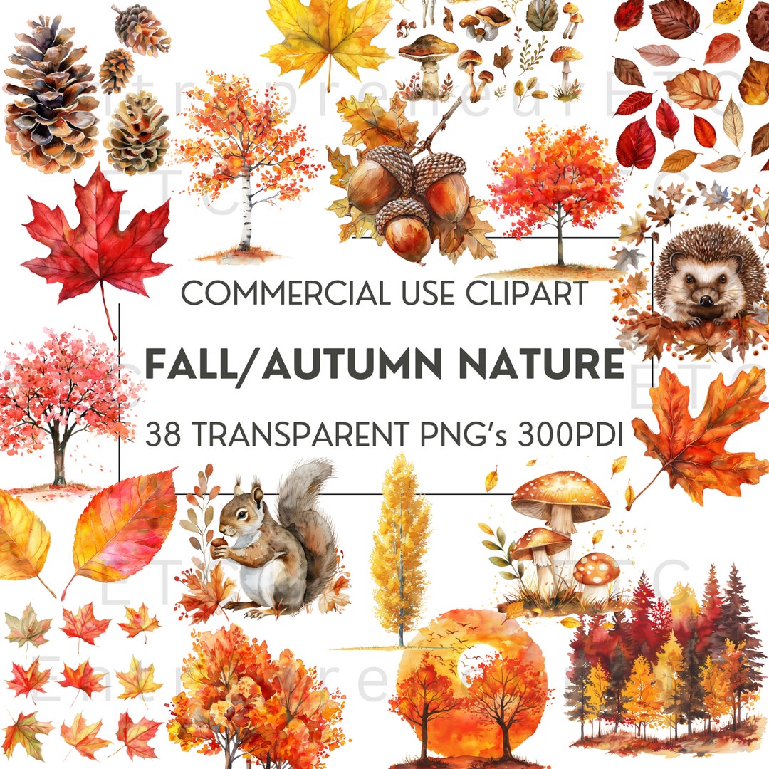 Fall Watercolor Clipart, 38 PNG Clip Art, Autumn Leaves & Trees ...
