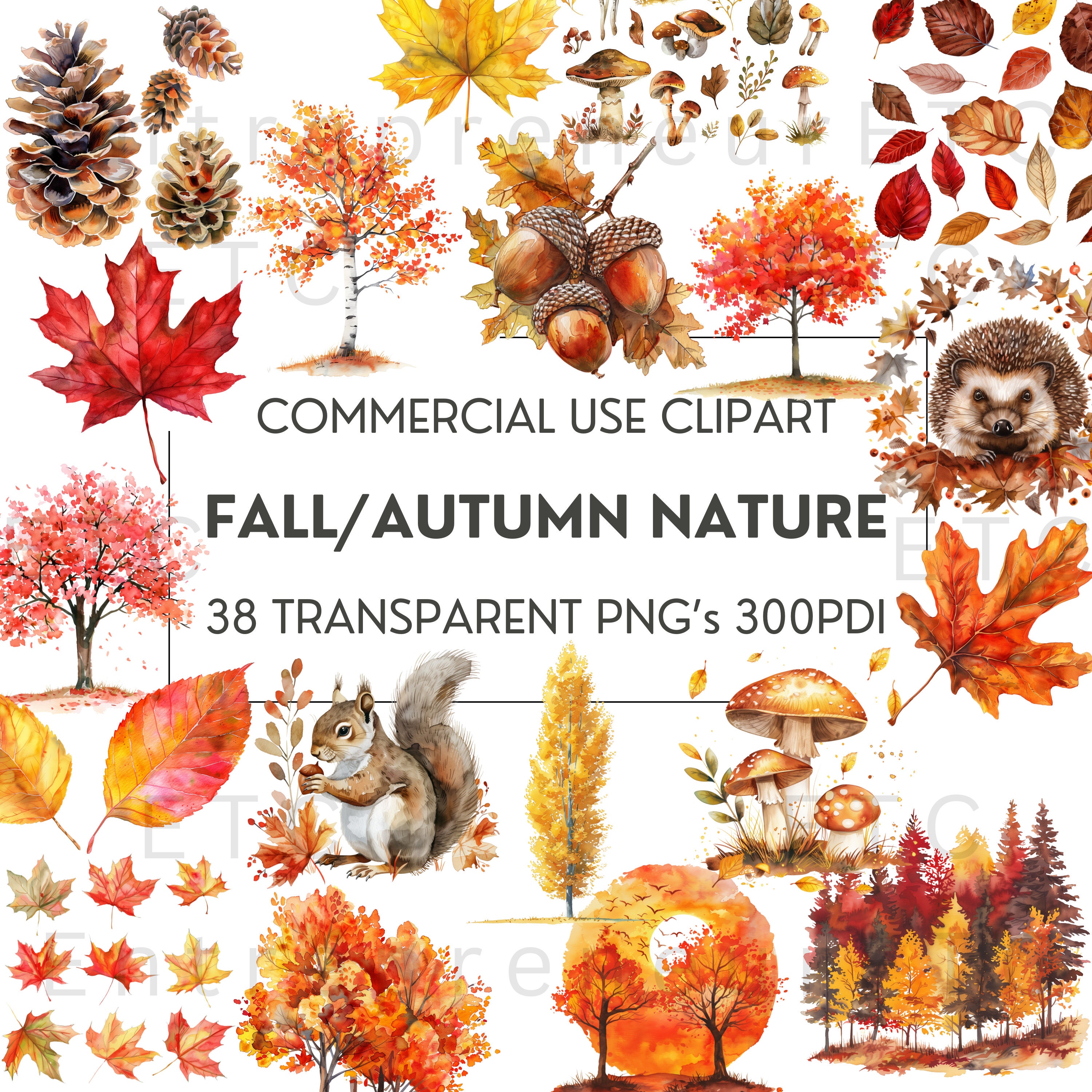 Fall Watercolor Clipart, 38 PNG Clip Art, Autumn Leaves & Trees ...