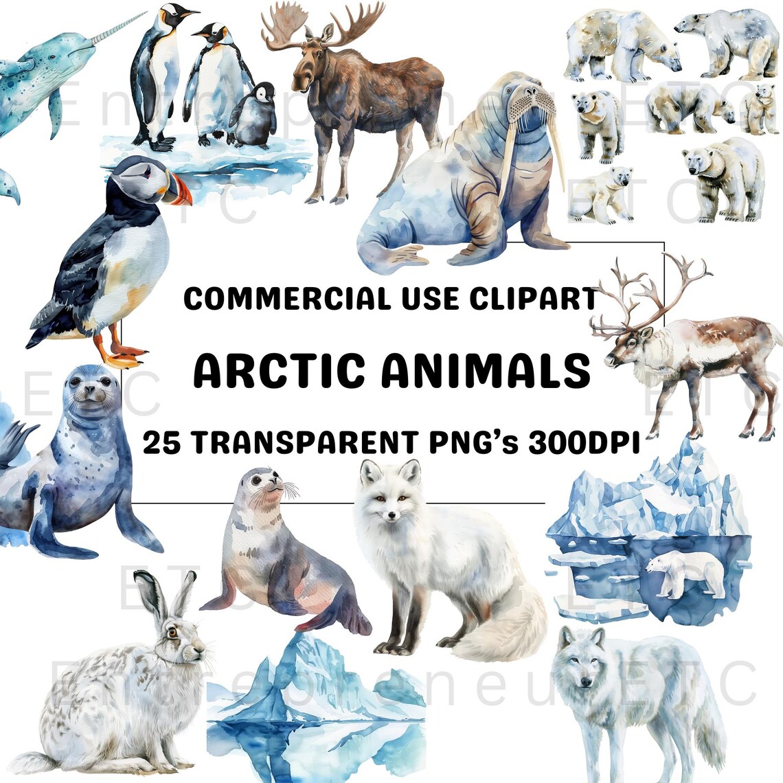 Arctic Animals Watercolor Clip Art, Polar Bears, Penguins, Puffins ...