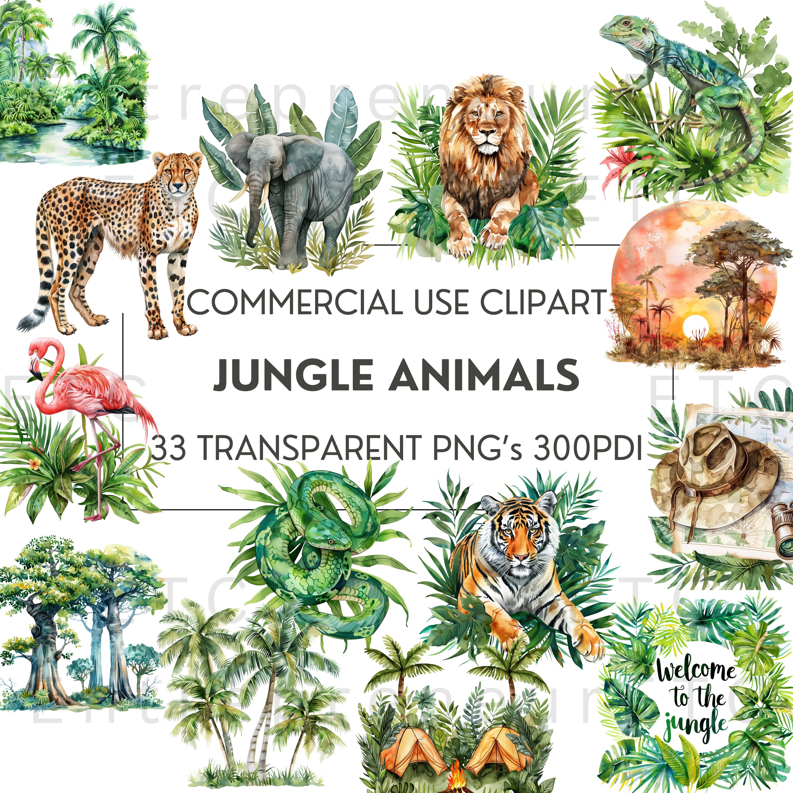 Jungle Animal Watercolor Clipart, 33 PNG Safari Clip Art, Lion Tiger ...